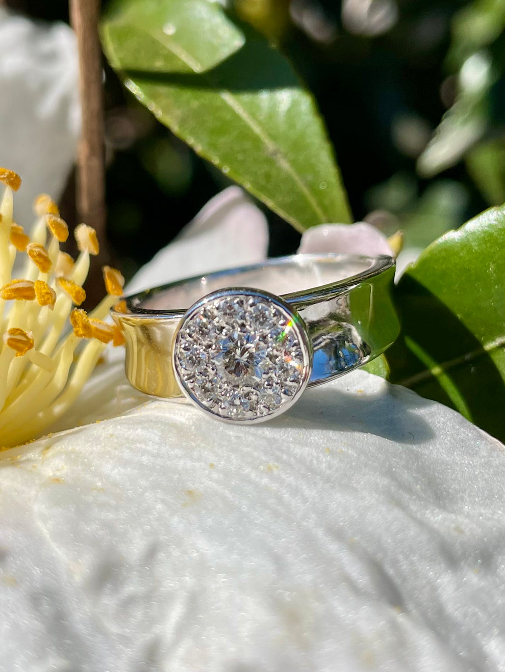 9ct White Gold Concave Diamond 'Halo' Ring – Juela Mogo